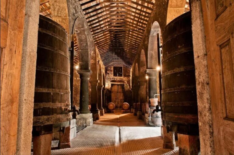 From Porto: Brejoeira Palace Visit, Tasting, and Lunch - What We Think: Balance of Experiences and Practicality