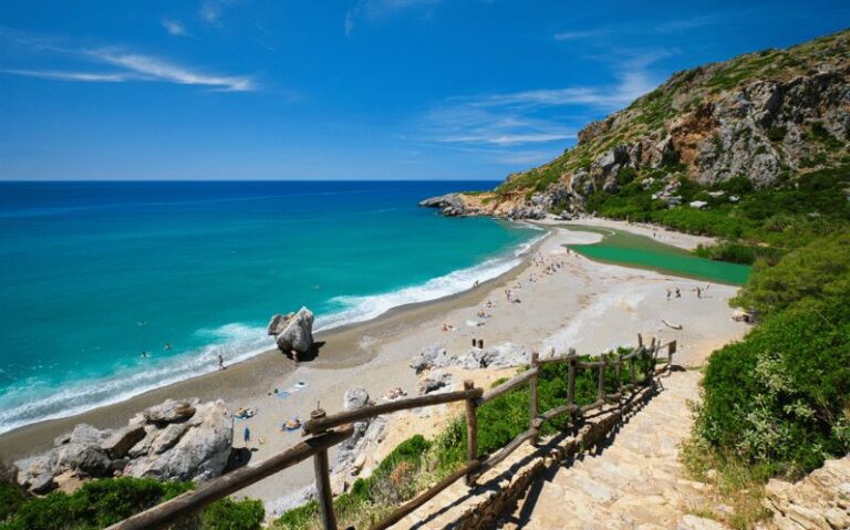 From Rethymno: Exotic Preveli Palms, Damnioni & Plakia Beach - What’s Included and What to Consider