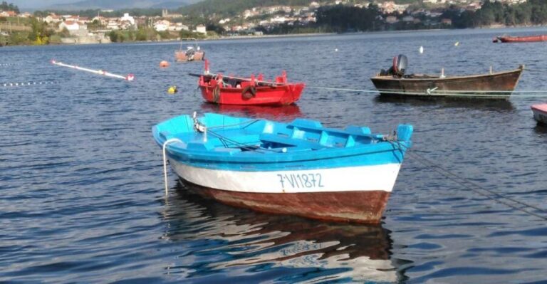 From Santiago: Tour Rias Baixas, Isla de Arousa y Combarro - What Makes This Tour Stand Out?