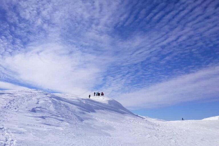 From Sarajevo: Mount Jahorina Snowshoeing Tour - The Value of the Tour: What You’re Really Paying For