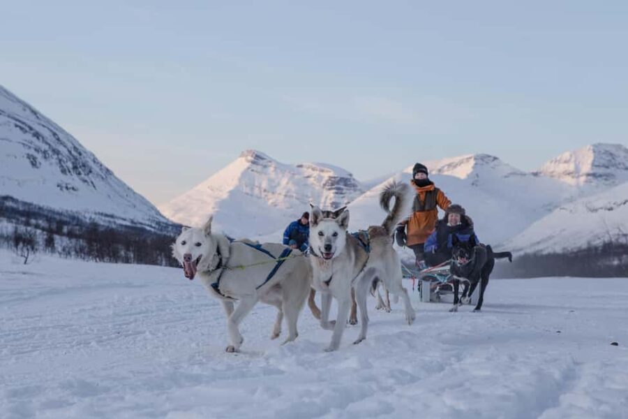 From Tromsø: Advanced Dog Sledding Daytime & Snow Park Visit - The Itinerary in Detail