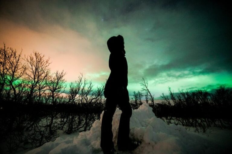 From Tromsø: Aurora Borealis - What Makes This Tour Stand Out?