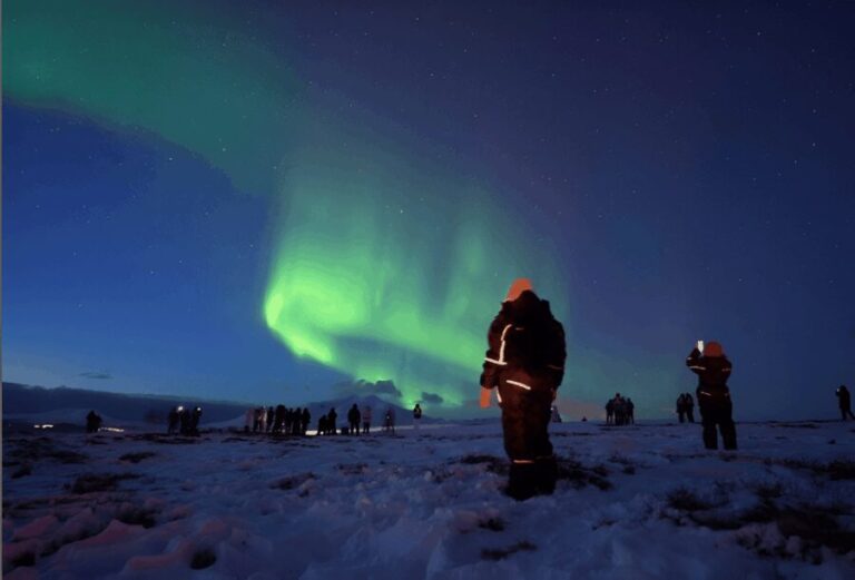 From Tromsø: Northern Lights Tour in Minibus with Photos - The Value of Professional Photos and Snacks