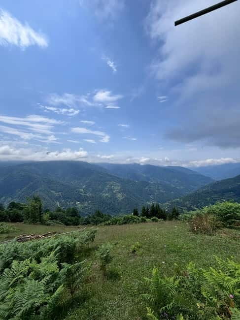 Full Day Mountine Tours from Batumi - Who Will Love This Tour?