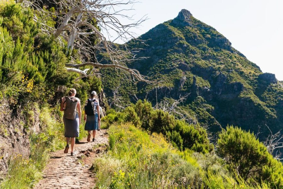 Funchal: Pico do Arieiro Sunrise Hiking Transfer