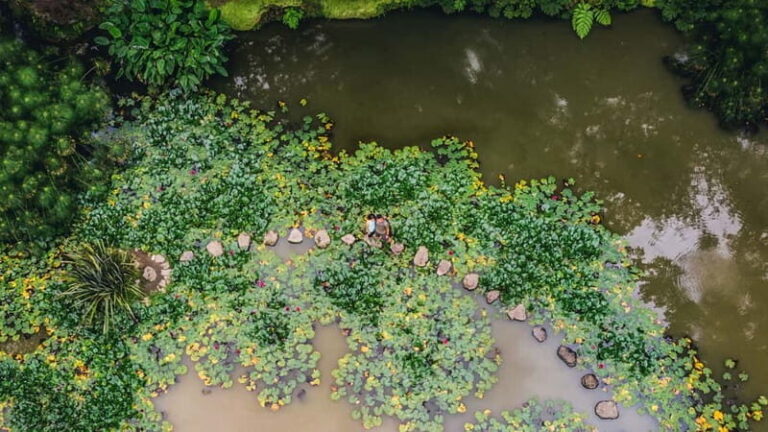 Furnas & Terra Nostra Gardens Biologist-guided Tour +lunch - Practical Details