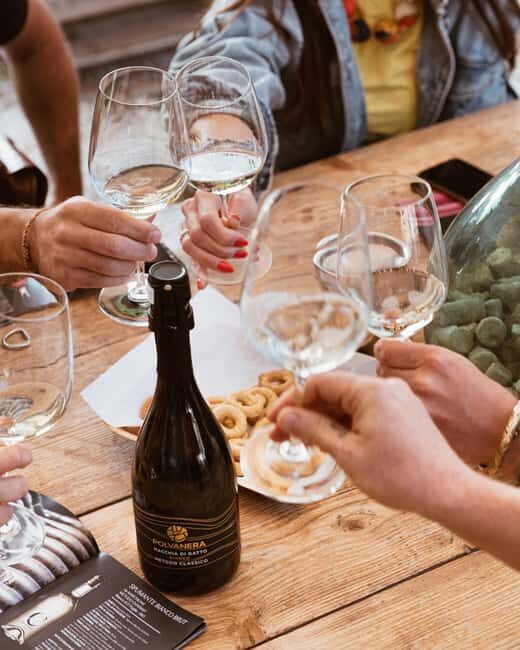 Gioia del Colle: Light Lunch with wine tasting - What to Expect from the Tour