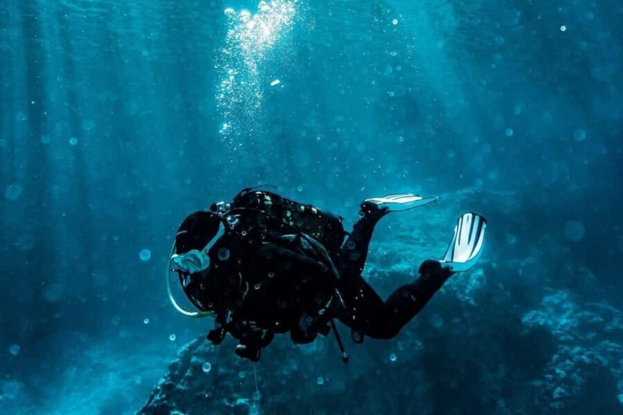 Golem/Durres: Ionian Sea Scuba Diving Experience