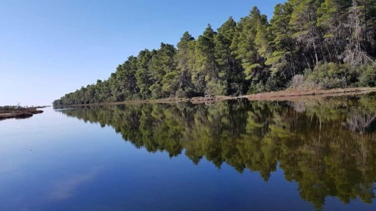 Golem/Durrës: Karavasta Lagoon Tour - What Travelers Say