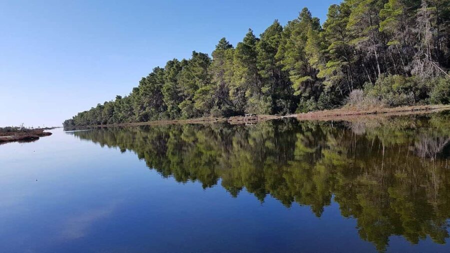 Golem/Durrës: Karavasta Lagoon Tour