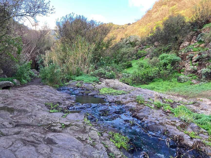 Gran Canaria: excursion to the Barranco de los Cernícalos