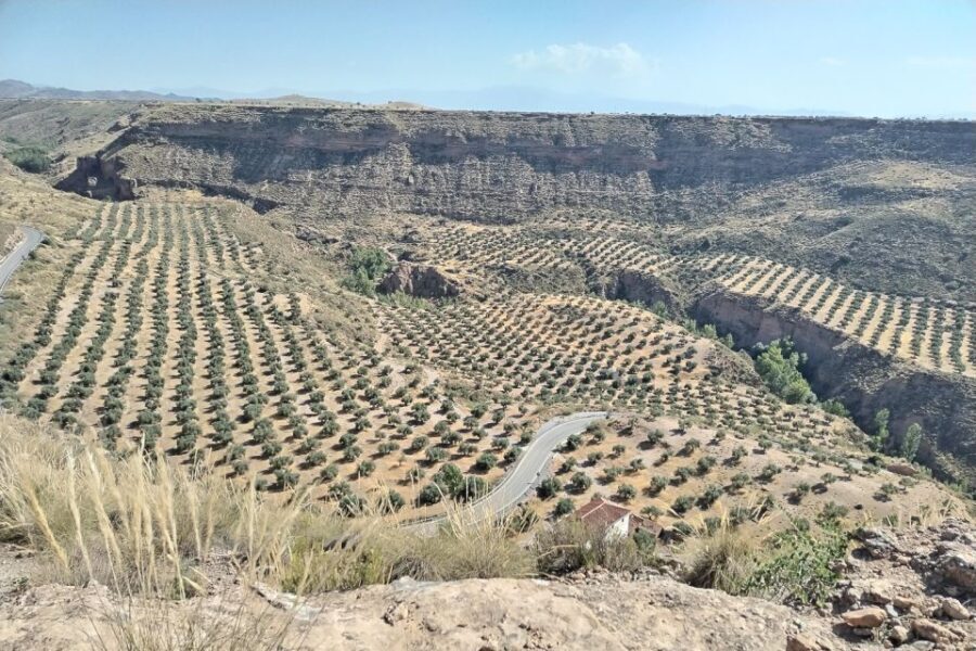 Granada: End of the World Viewpoints 4x4 Tour in the Geopark - Detailed Breakdown of the Itinerary