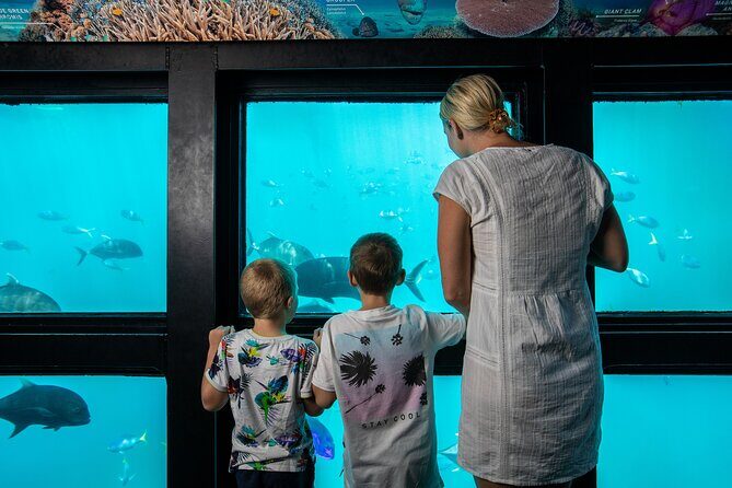Great Barrier Reef Full Day Adventure - Who Will Love This Tour?