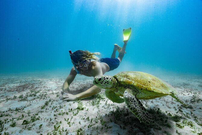 Great Keppel Island Glass Bottom Boat Tour & Ferry Transfer - The Itinerary Breakdown