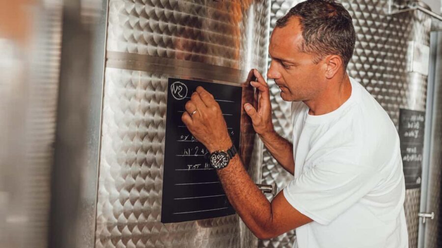 Greve in Chianti: Tour and tasting of organic Chianti Classico and Tuscan snacks