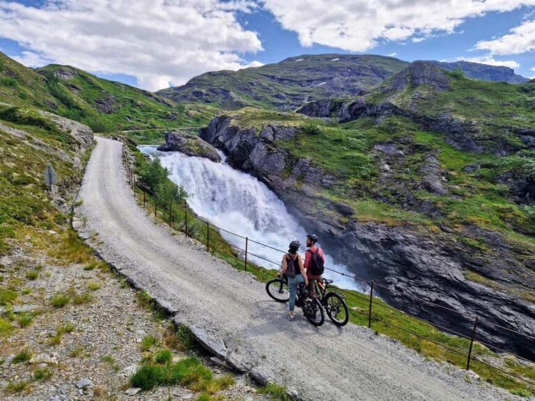 Guided, electric bicycle tour from Vatnahalsen (near Flam) - Who Will Love This Tour?
