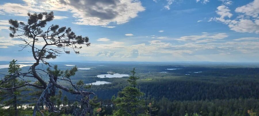 Hiking in Riisitunturi National Park