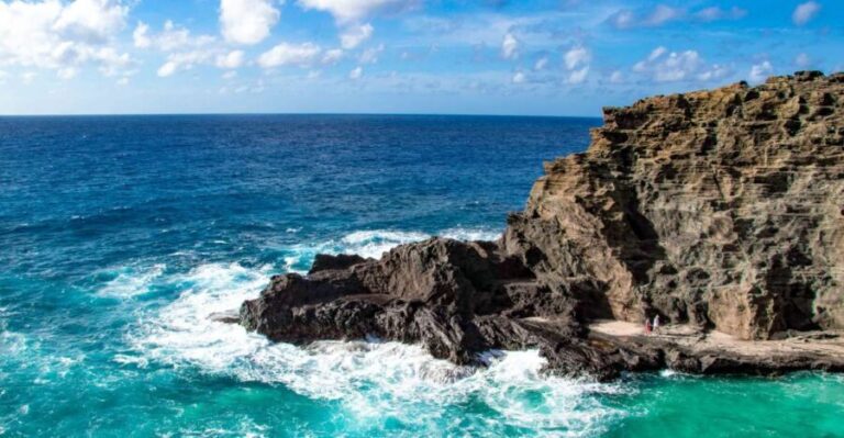 Honolulu: Oahu Sights and Bites Island Tour - What Travelers Say