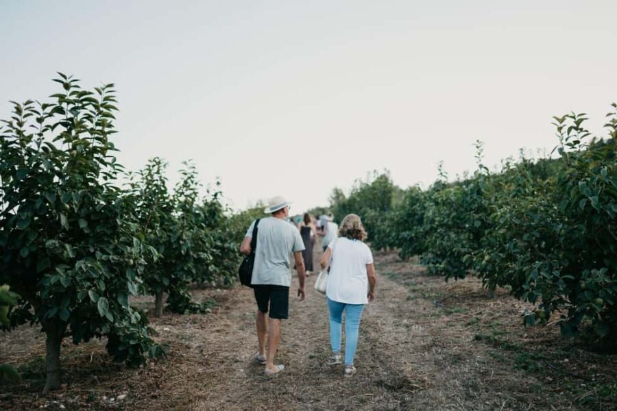 Hort de Sa Vall: Guided tour of the crops and outdoor dinner