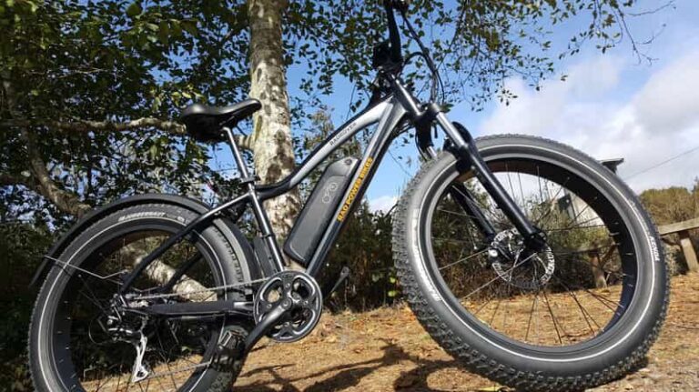 Humboldt: Electric Bike Rentals (4-Hour or Full Day options) - The Value and Pricing