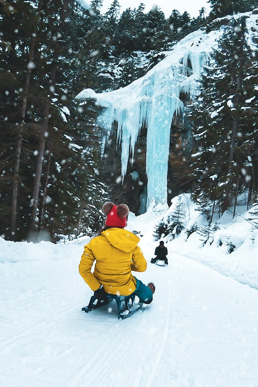 Interlaken: Guided Sledging Adventure - Pricing and Value