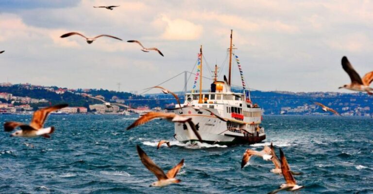 Istanbul: Private Bosphorus Cruise By Luxury Yacht - Authentic Reviews and Real Feedback