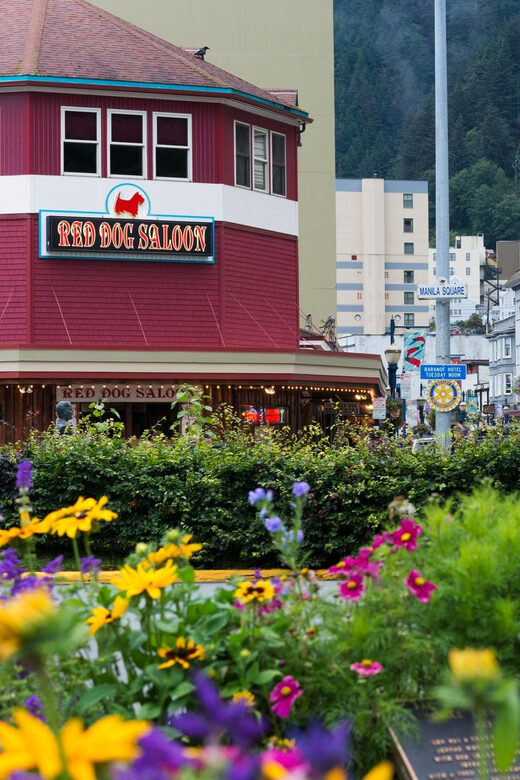 Juneau: City Highlights Bus Tour - A Practical Dive into the Juneau City Highlights Bus Tour