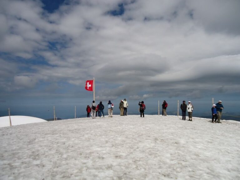 Jungfraujoch Top of Europe Private Day Trip from Basel - Who Would Love This Tour?