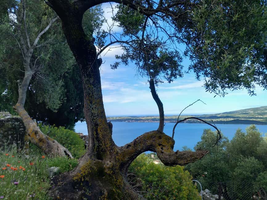 Kefalonia: Old Farsa Village Morning Walking Tour