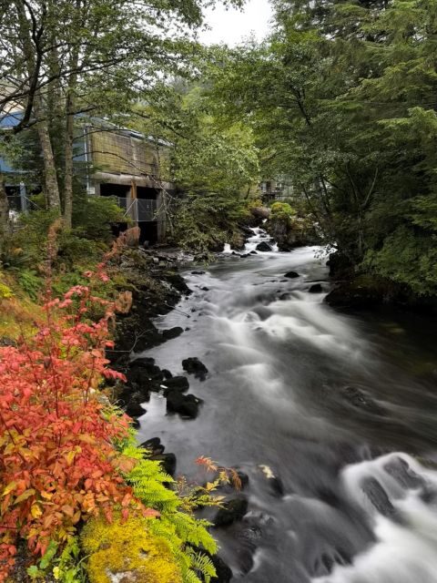 Ketchikan Photo Safari - The Itinerary in Detail