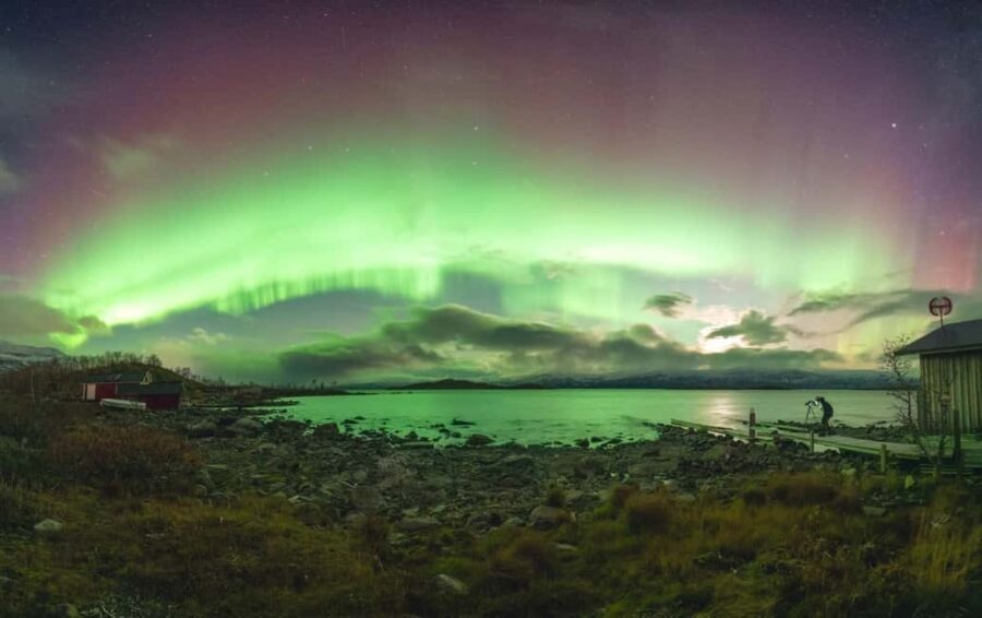 Kiruna: Northern Lights Tour with Sami BBQ Dinner