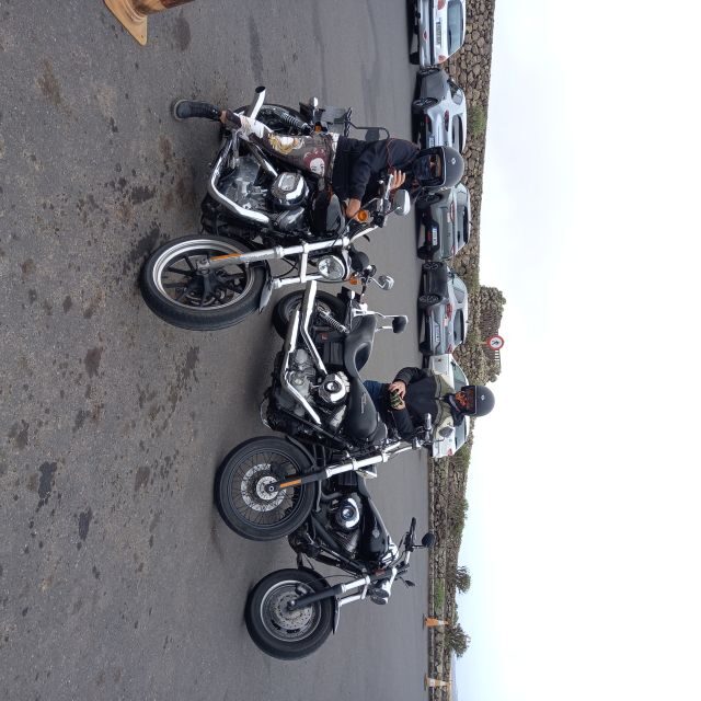 Lanzarote: geführte Motorradtour auf einer Harley-Davidson - Who is This Tour Best For?
