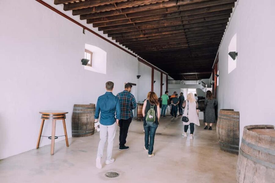 Lanzarote: Vineyard Tour & Wine Tasting with Cheese