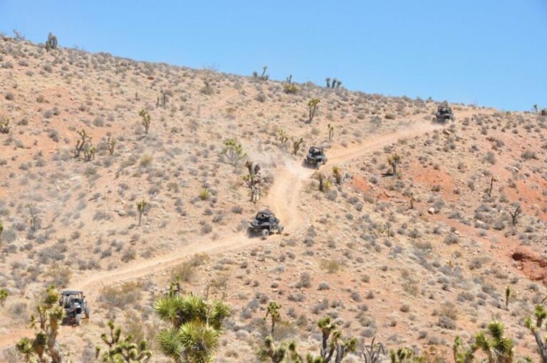 Las Vegas Mojave Off Road Adventure/Polaris RZR Guided Tour - Why Youll Love the Experience