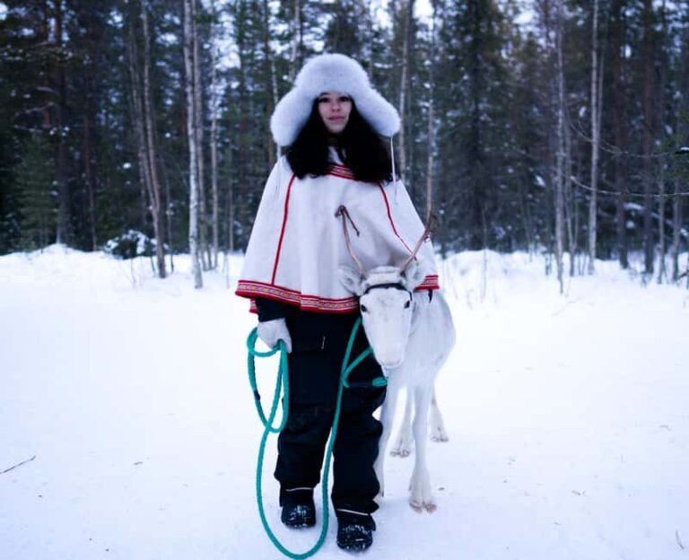 Levi: Winter Wilderness Husky & Reindeer Safari Combo Tour - Is This Tour Worth It?