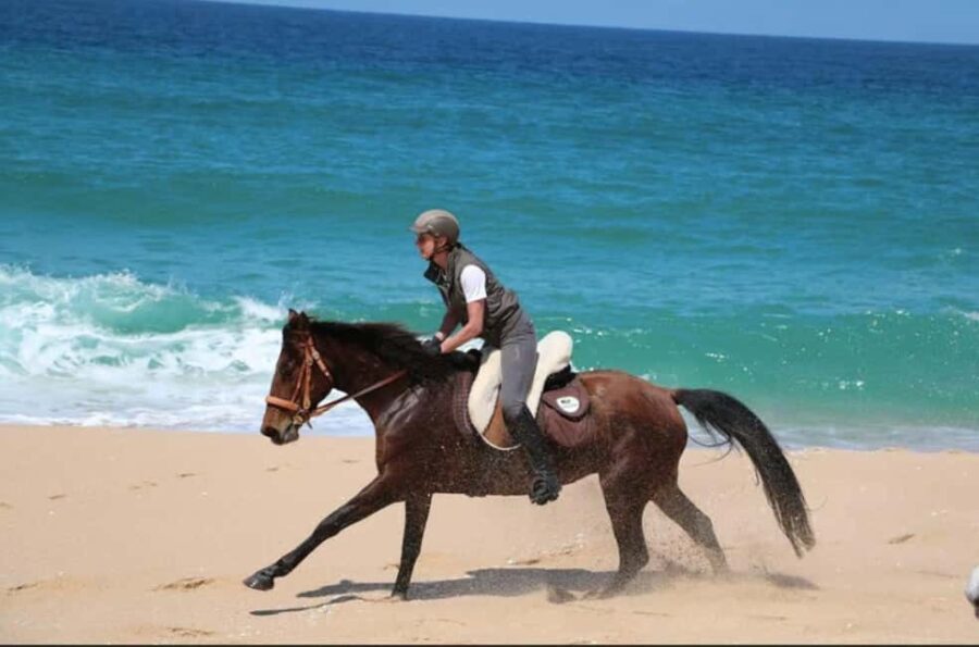 Lisbon: Horse Riding at the Beach with Lunch
