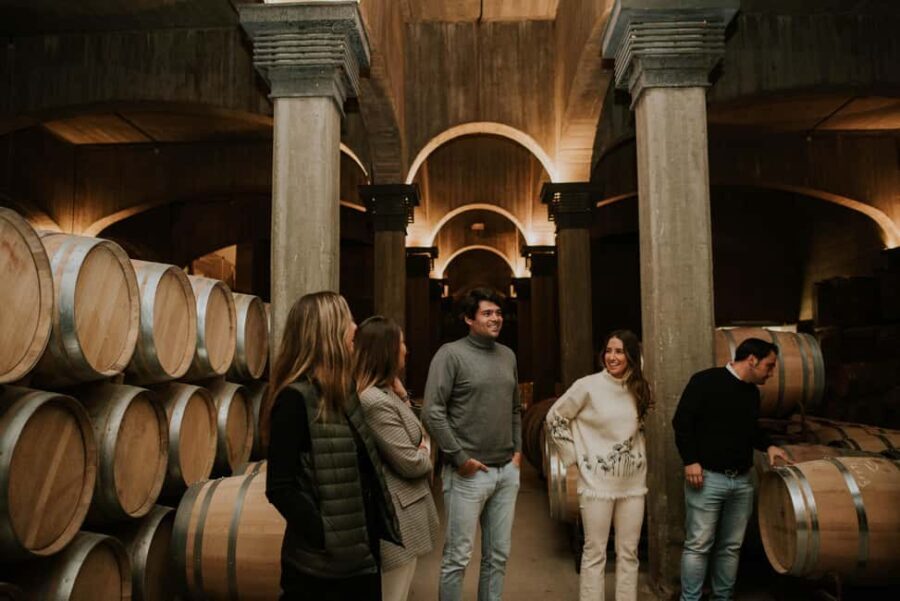 Logroño: Guided visit with tasting of 3 wines and appetizer at Viña Ijalba.