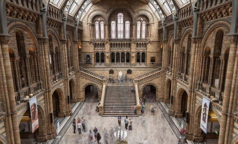 London: Natural History Museum + Guided Tour+ Priority Entry - Who Will Enjoy This Tour Most?