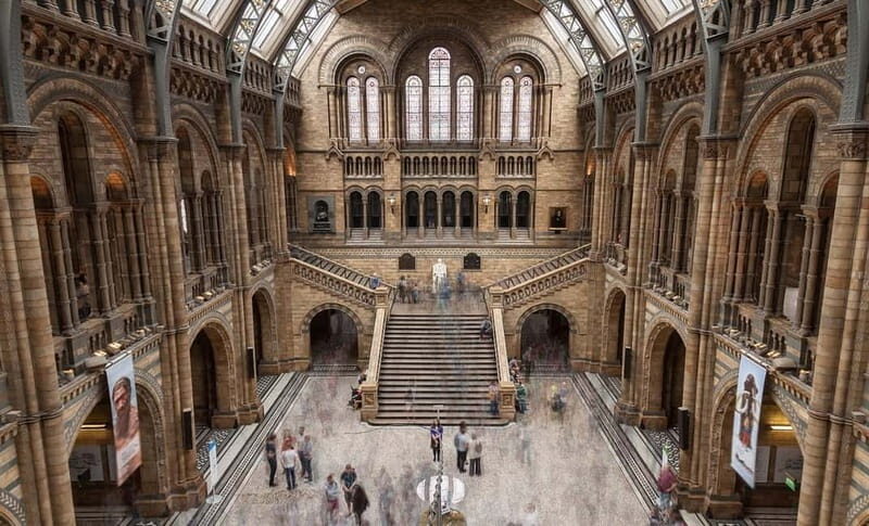 London: Natural History Museum + Guided Tour+ Priority Entry - Who Will Enjoy This Tour Most?