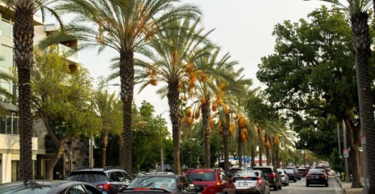 Los Angeles: 3-Hour Private Driving Tour w/ Local Guide - The Value and Practicality