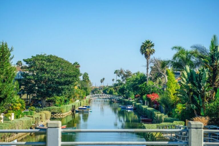 Los Angeles: Small Group Sightseeing Tour - What Makes This Tour Stand Out?