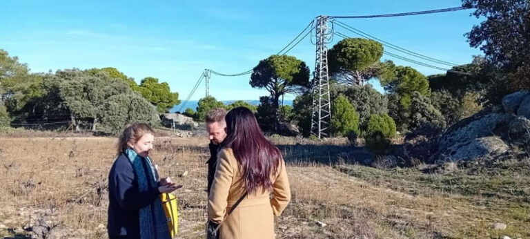 Madrid Winery Tour: Visit & Tasting With Sommelier Guide - Who Will Love This Tour?