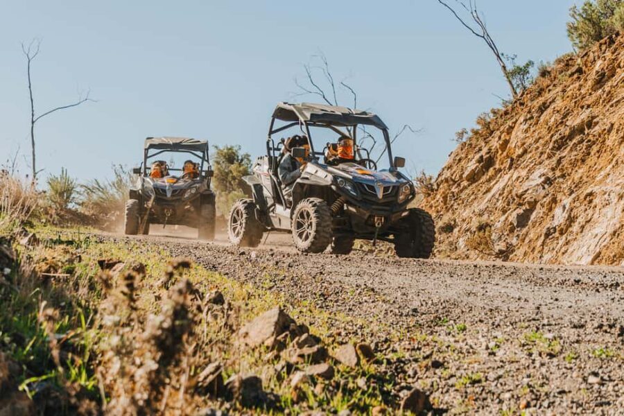 Málaga: 1-Hour Off-Road Buggy Adventure in Mijas