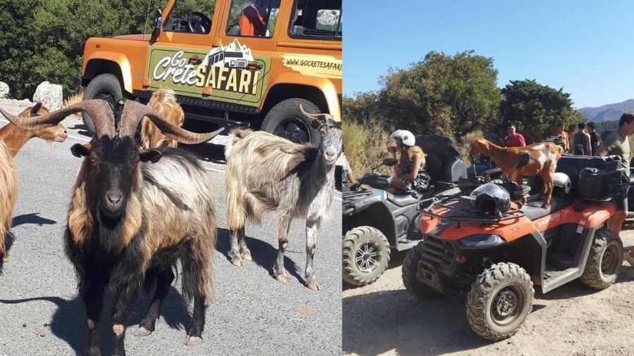 Malia: Off-Road Quad Safari Tour with Lunch and Transfers