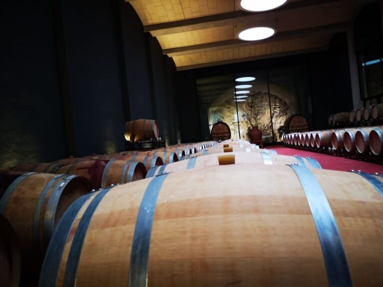 Mallorcas Emblematic Wineries Small Group Tour, two wineries - The Value of the Experience: Is It Worth the Cost?