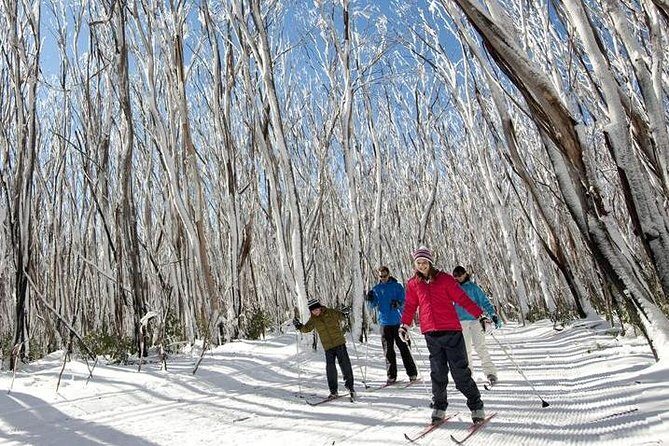 Melbourne Snow Trip to Lake Mountain with Chocolates & Waterfalls - Detailed Breakdown of the Trip