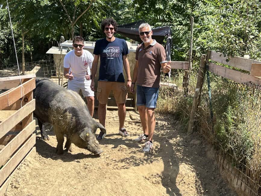Montepulciano: Pig Farm Tour with Traditional Lunch