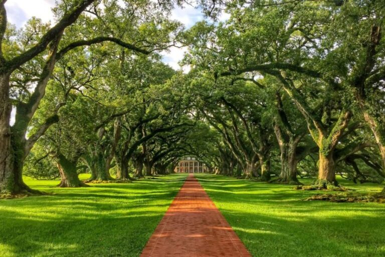 New Orleans: Oak Alley Plantation Tour with Transportation - The Big House Tour