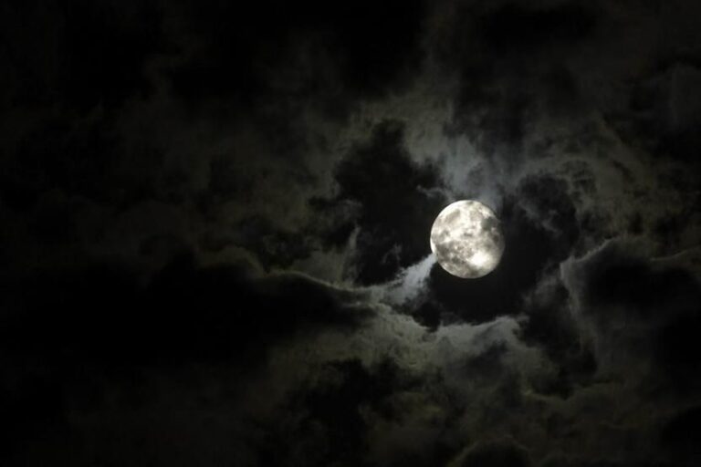 New Orleans: Private Haunted Excursion Tour - The Experience: What You Can Expect