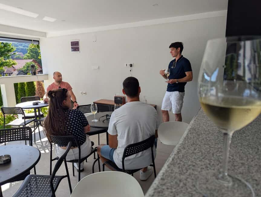 Novi Sad: Fruka Gora Wine Tasting with Local Bites